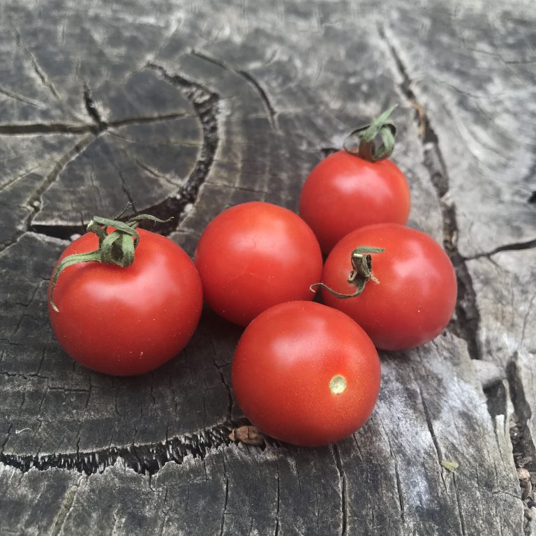 Tomato- Tommy Toe - Local Seeds