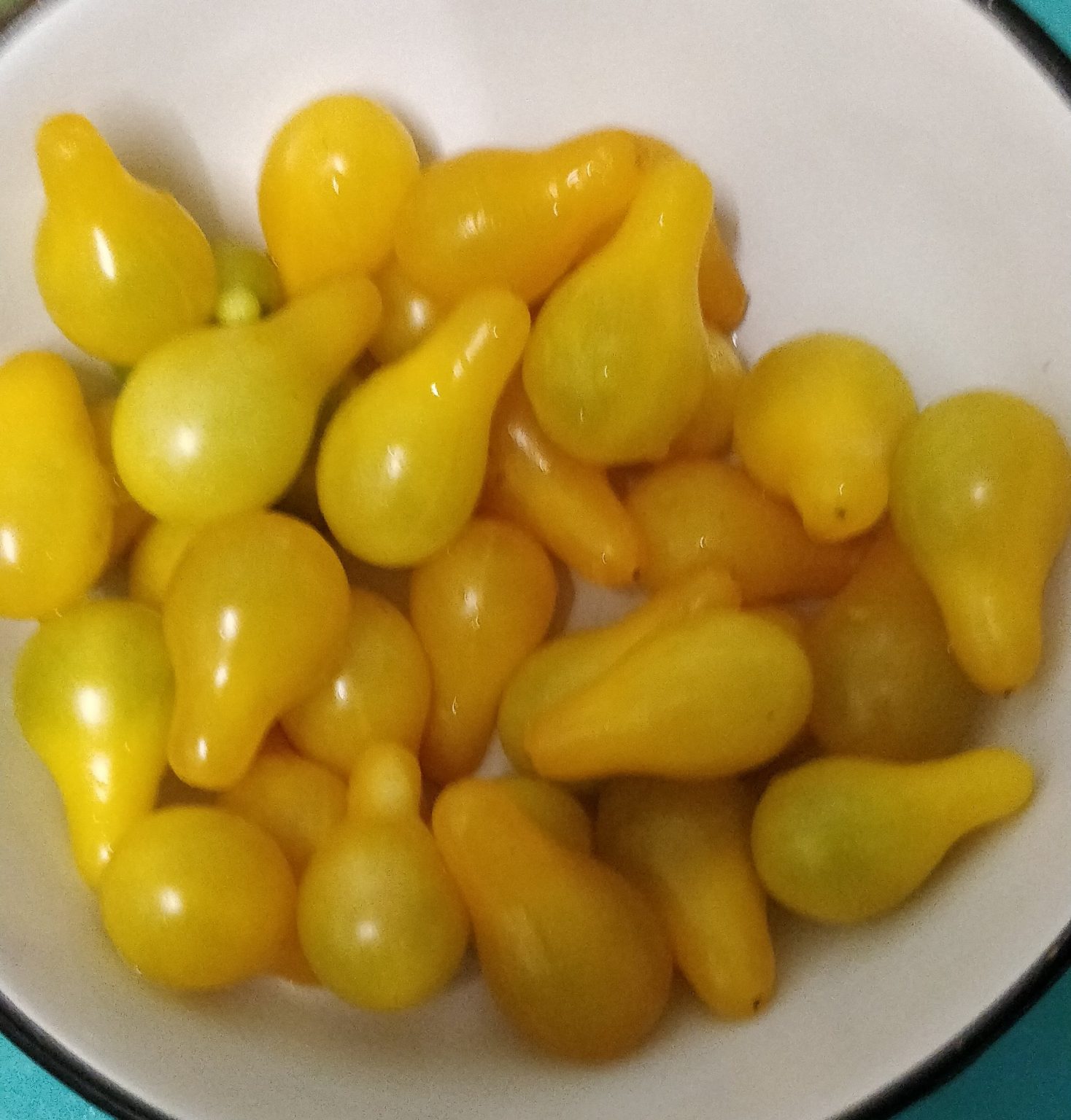 Yellow Pear Tomato - Local Seeds