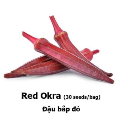 Red Okra - Local Seeds