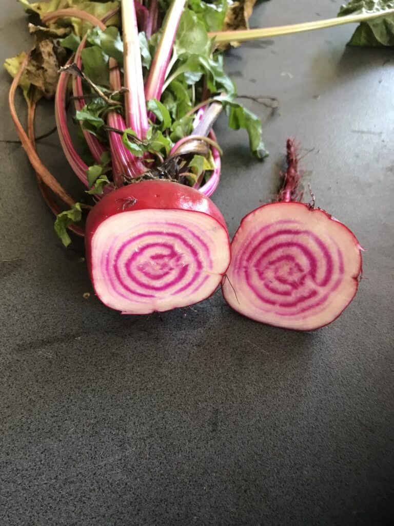 Beetroot - Chioggia - Local Seeds