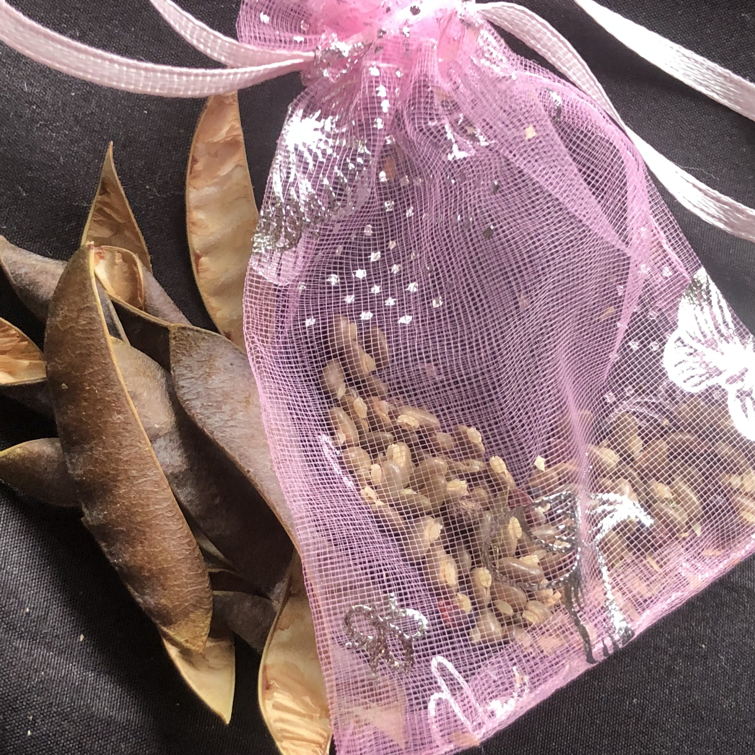 Hardenbergia Violacea Native Lilac - Local Seeds