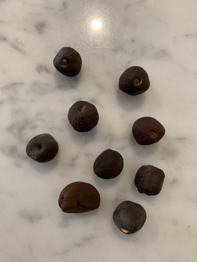 4 Bali Snakeskin Fruit - Local Seeds